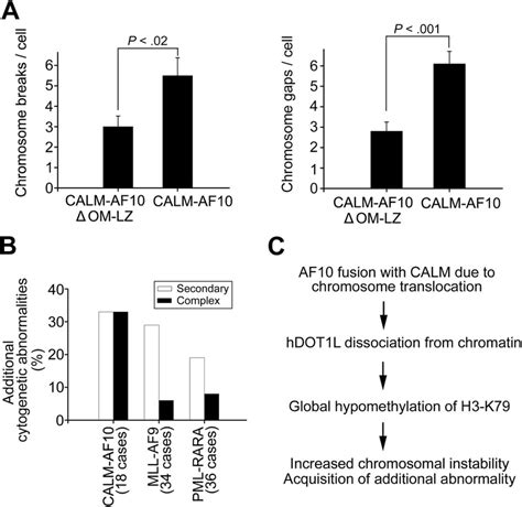 Calm Af10 Fusion Induces Chromosomal Instability A Hypomethylated