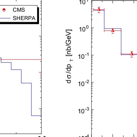 The C Jet Cross Section Versus C Jet Transverse Momentum In P P