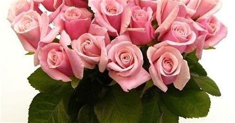 ჩემი კლასი სადამრიგებლო პროგრამა