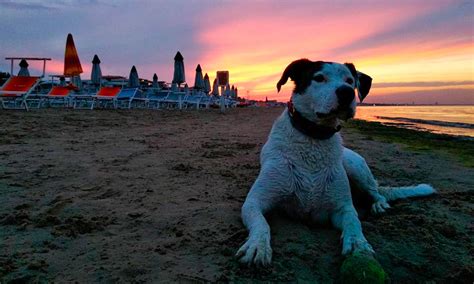 Spiaggia Di Cesenatico Dove Andare Al Mare Riviera Romagnola