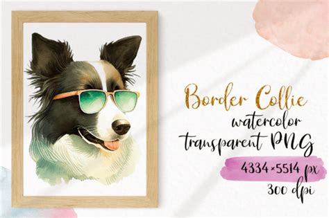 Border Collie With Sunglasses Graphic By Sellingpod · Creative Fabrica
