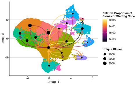 Visualizations For Single Cell Objects • Screpertoire