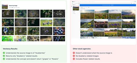AI Reverse Image Search From Vecteezy