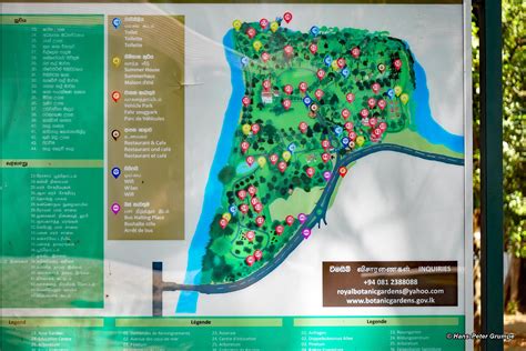 Peradeniya Botanical Garden Map Fasci Garden