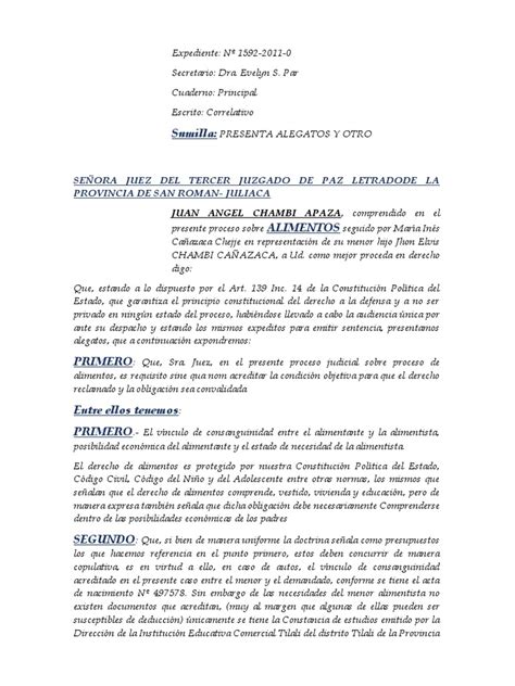 Alegatos Final Del Demandado Por Alimentos Modelo 2022 Pdf