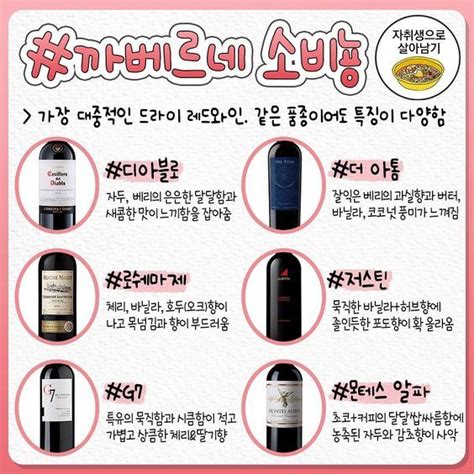 품종별로 정리한 와인맛 한줄평 총정리 지식사이트 와인 알코올 음료 스파클링 와인