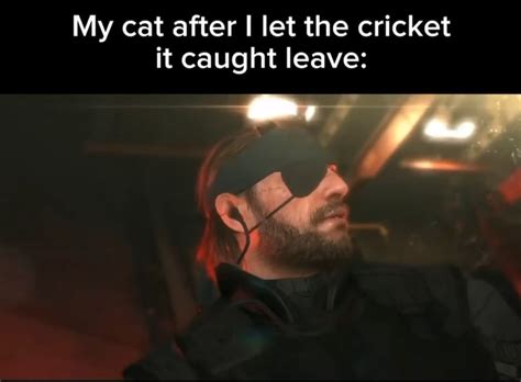 Kitty Wanted A Snack R Whenthe
