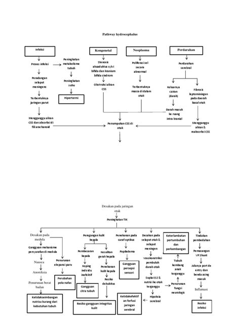 Pathway Hydrocephalus Pdf