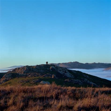 Bay Area — Kate Dollarhyde