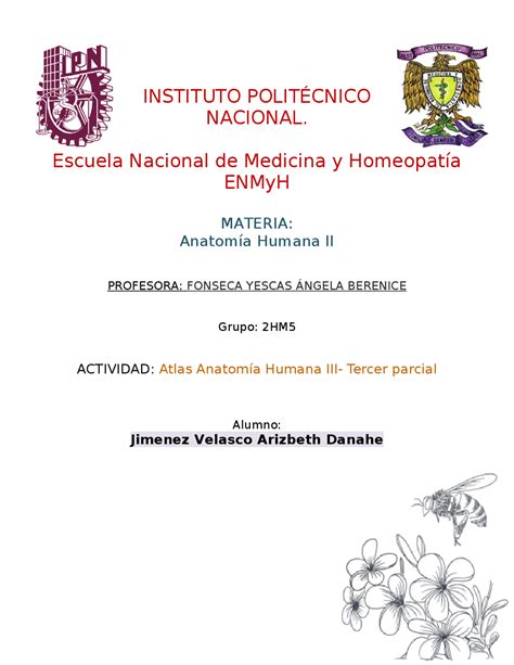 Atlas De Anatomia Humana Ii Ejercicios De Anatomía Docsity