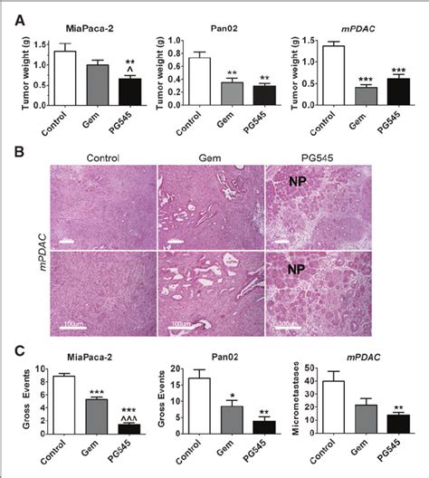 Pg545 Inhibits Primary Tumor Growth And Metastasis A Orthotopic Pan02