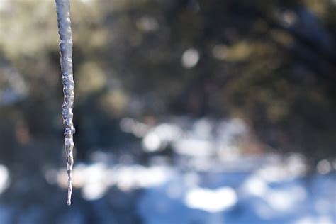 Free Images Tree Water Nature Branch Snow Winter Light Sky