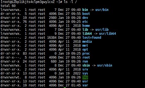 阿里云Linux服务器挂载数据盘教程 苍穹云