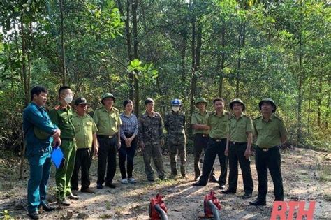 Tăng Cường Thực Hiện Các Biện Pháp Cấp Bách Phòng Cháy Chữa Cháy Rừng