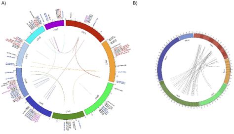 Genomic Localization And Homology Of Heterodera Glycines Mirnas A