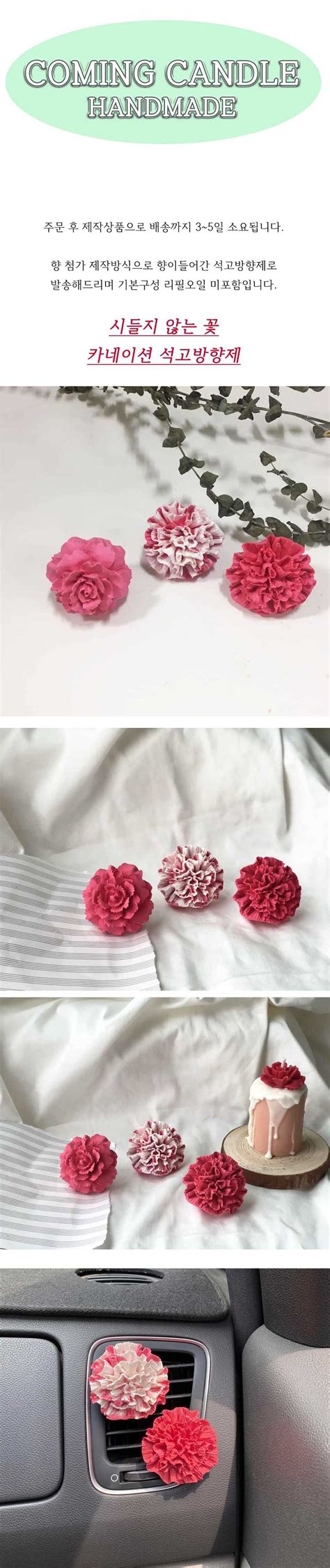 카네이션 차량용 석고방향제 선물상자 감도 깊은 취향 셀렉트샵 29cm