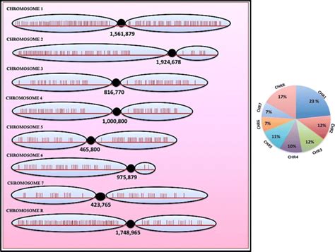 Distribution Of Hsf1 Binding Sites—the Distribution Of Hsf1 Binding Download Scientific Diagram