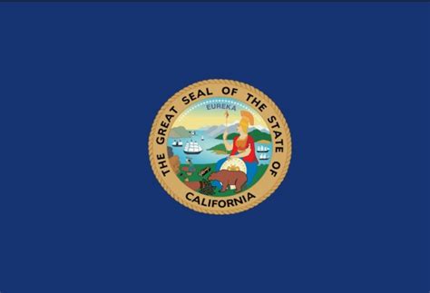 Flag Of California If It Didnt Suck Ass Rvexillologycirclejerk