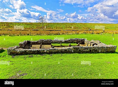 Roman Wall World Heritage Site National Park Brocolitia Mithraeum Roman
