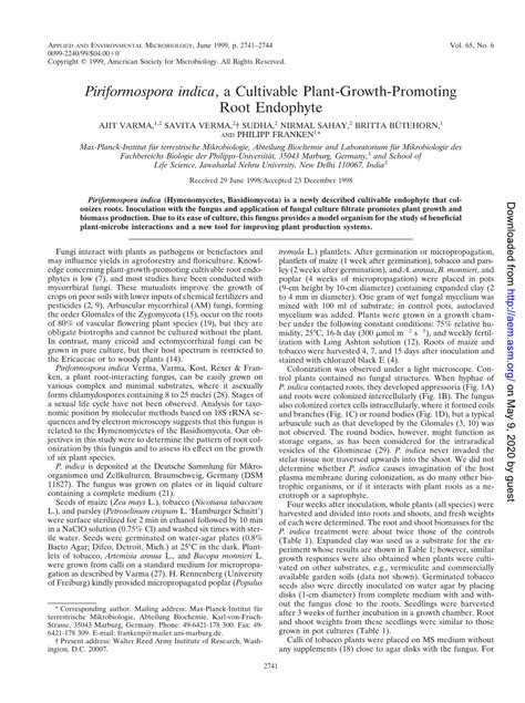 Piriformospora Indica A Cultivable Plant Growth Promoting Root Docslib
