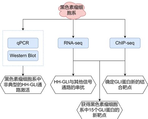 联合分析专题：带你了解转录组表观遗传联合分析在医学方向的研究思路转录组 表观遗传 Csdn博客