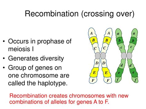 Ppt Cross Dressing Or Crossing Over Sex Testing Of Women Athletes