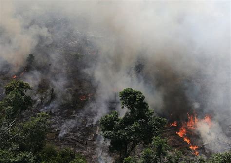 24 Photos Show The Amazon Rainforest Before And After The Devastating