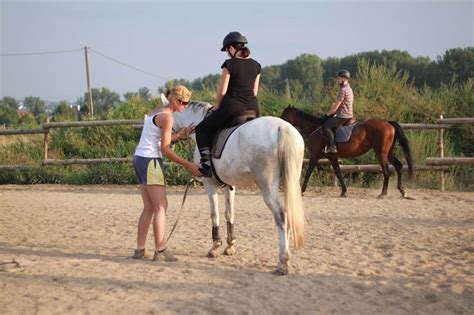 Nauka Jazdy Konnej O Rodek Je Dziecki Progres