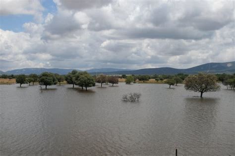 Asaja De Castilla La Mancha Solicita La Declaración De Zona De