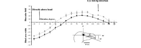 Mean Ae Se Angular Separation Of The Retinal Field Margins As A Download Scientific Diagram