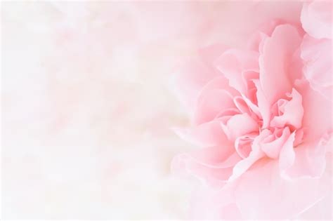 Premium Photo Pink Carnation Flowers Bouquet