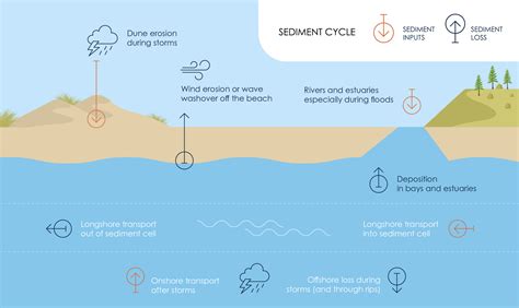 Coastal Processes Mid West Ports