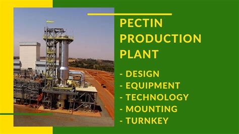 Citrus Pectin Production At Ada Tawney Blog