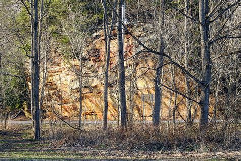 Benua Loop Trail And Green Mansions Trail