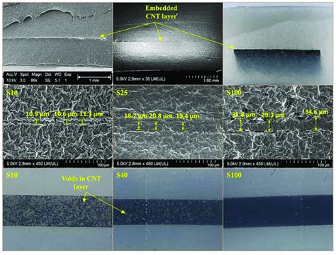 Image Analysis Of Cnt Layer Embedded Sensors Download Scientific Diagram