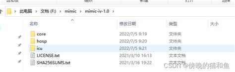 Mimic Iv数据库安装（二）mimic数据库安装 Csdn博客