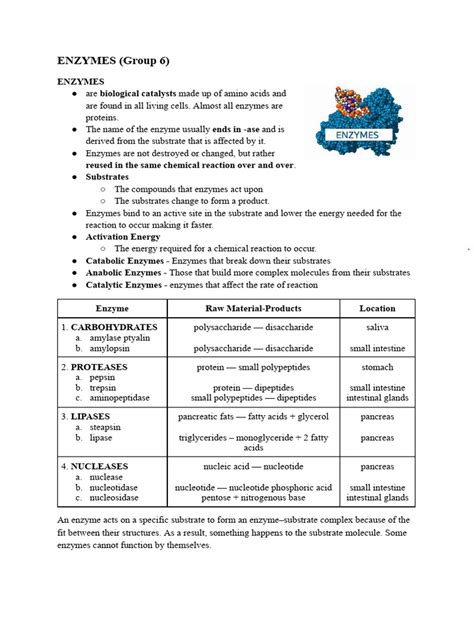 Gen Bio Draft Pdf Protein Structure Enzyme