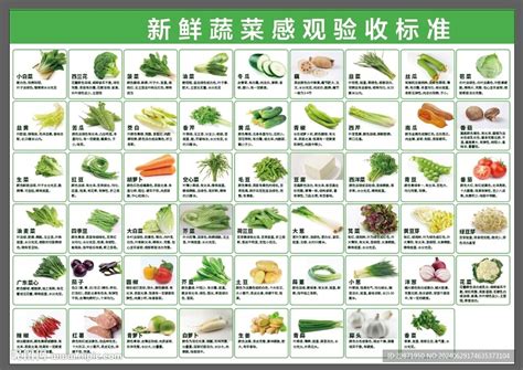 蔬菜验收标准设计图其他广告设计设计图库昵图网