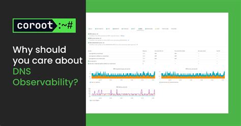 why should you care about dns observability coroot