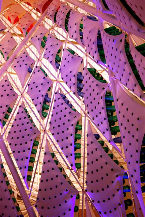 Eddy And Shroud Explore Multi Tiered Canopy With Enclosed Spaces