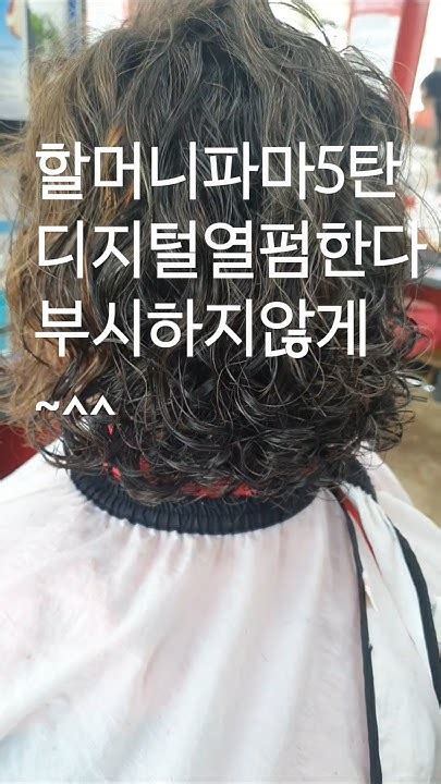 할머니파마5탄파마가렵지않은새치염색하면서파마하기단발머리파마하기예쁜머리시그니처파마일반파마디지털파마 250316 웨이브파마익산백설란헤어샵 익산헤어샵