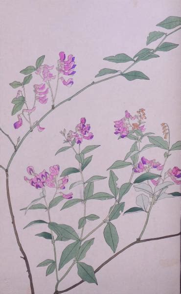 杉浦非水 非水百花譜 分売88なんてんはぎ南天萩 杉浦非水編 赤尾照文堂 古本中古本古書籍の通販は日本の古本屋