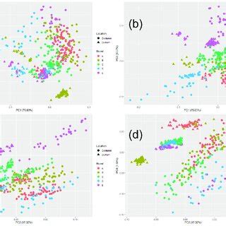Score Plots From A Singular Value Decomposition Based Principal