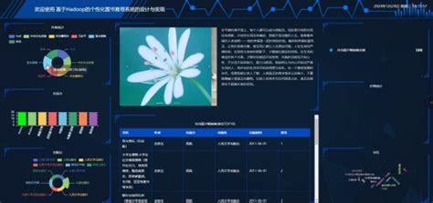 基于hadoop的大数据专业毕业设计 个性化图书推荐系统实战项目附源码论文毕设 Java基于hadoop 大数据 模型 Csdn博客