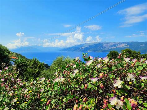 La Mágica Isla De Itaca Tras Las Huellas De Ulises Al Encuentro De La Odisea El Trancura