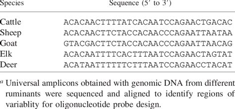 Oligonucleotide Probe Sequence A Download Scientific Diagram