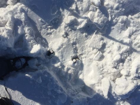 Metal Detecting Snow Recovery Kellyco Metal Detectors