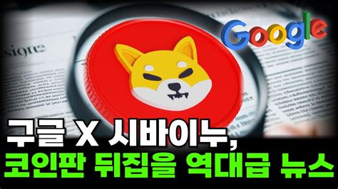 시바이누코인 구글x시바이누 콜라보 코인판을 뒤집을 역대급 뉴스 떴다 Youtube