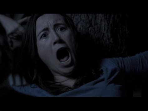 The Orchard Imdb