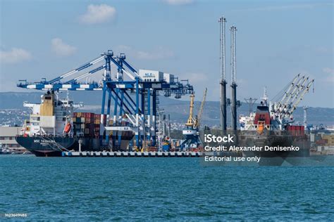 Novorossiysk 상업 항구 컨테이너 선박 호라이즌 Msc 태즈매니아 파나마 선적을위한 정박지에 도시의 흐릿한 배경
